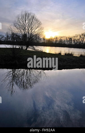 a pond with trees around and sunset sky Stock Photo - Alamy