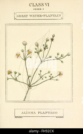 This work on botany provides foundational knowledge on plant ...