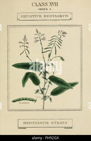 Elements of the Science of Botany, classification of plants, Mertz ...
