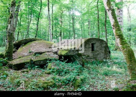 A Bunker in a forest prior Verdun. battlefield of Verdun. June 2015 ...