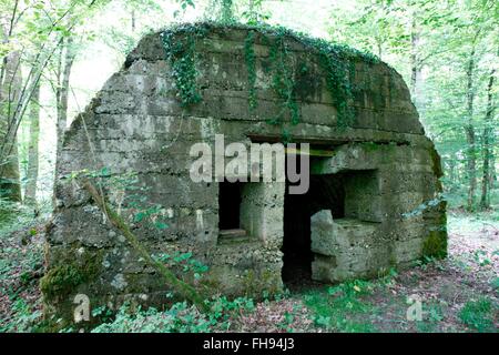 A Bunker in a forest prior Verdun. battlefield of Verdun. June 2015 ...
