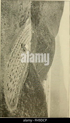 Gleanings in Bee Culture (1907), a comprehensive guide to apiculture ...