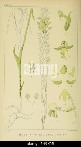 An illustrated volume detailing the history, characteristics, and ...