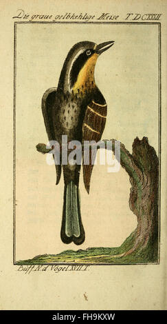 A historical ornithological work by Buffon, focusing on the natural ...