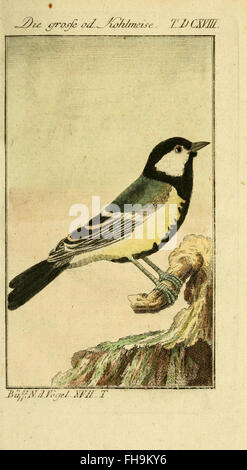 A historical ornithological work by Buffon, focusing on the natural ...