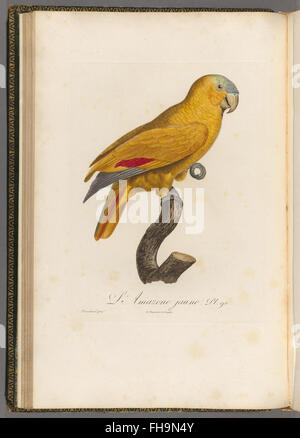 Histoire naturelle des perroquets, Missouri Botanical Garden, Peter H ...