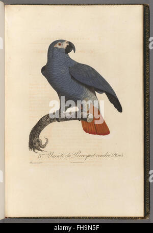 Histoire naturelle des perroquets, Missouri Botanical Garden, Peter H ...