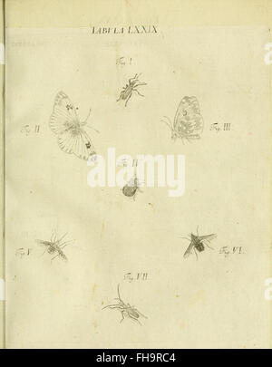 This 18th-century work by D. Jacob Christian Schaffer presents ...