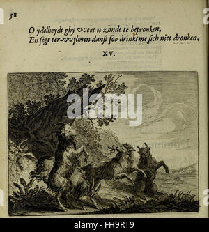 *Zinne-beelden oft Adams appel* (1642) by Ian van der Veen is a work of ...