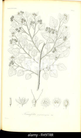 Icones Plantarum in Flora Cubana Descriptarum is a botanical work ...
