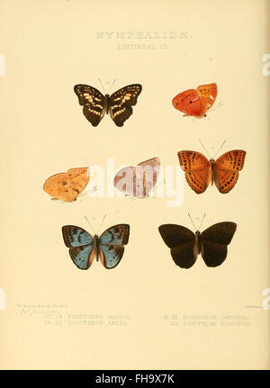 Pictorial work showcasing exotic butterfly species, collected and ...