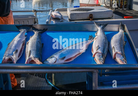 Fish Market in Steveston Village, Richmond, BC, Canada Stock Photo - Alamy