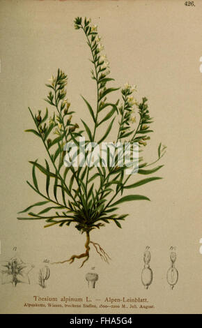 *Atlas der Alpenflora* is a botanical atlas that catalogs the flora of ...