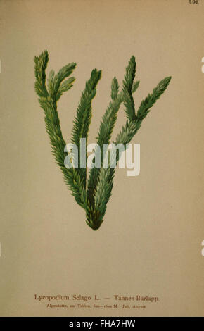 Alps, Atlases, Mertz Library, The New York Botanical Garden, Mountain ...