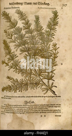 A comprehensive botanical and medical work from the early 1800s on ...