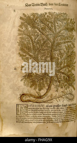 A detailed work by Pedanius Dioscorides on medicinal substances ...