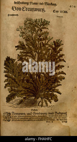 A botanical dictionary detailing various plants, their uses, and ...
