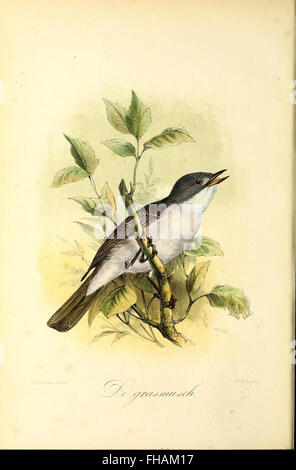 Onze Vogels in Huis en Tuin, a Dutch guide to common garden and ...