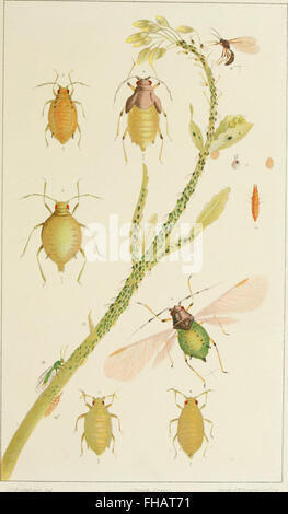 'A Handbook of the Destructive Insects of Victoria' (1891) provides a ...