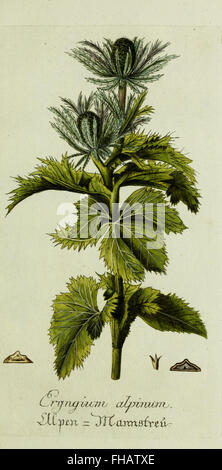 A botanical work from 1791 featuring illustrations of indigenous and ...