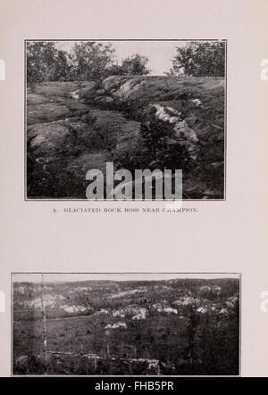 A study on the surface geology and agricultural conditions of Michigan ...