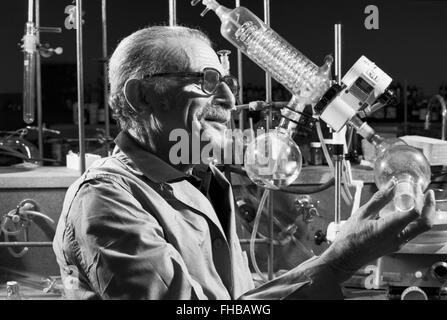 Chemist Max Tishler, photographed approximately 1982, at his laboratory ...