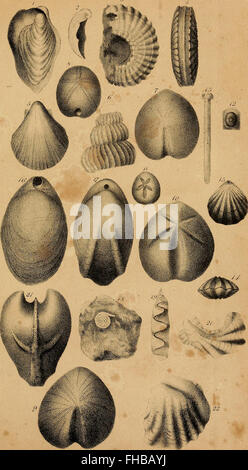 This scientific journal covers a wide range of topics including physics ...