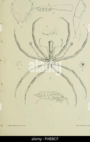 'The Annals and Magazine of Natural History' (1884), a scientific ...