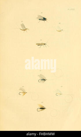 A detailed guide on trout fly-fishing techniques in America, covering ...