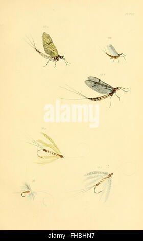 The Fly-Fisher's Entomology is a detailed guide for fly fishermen ...