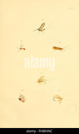 An entomological guide to fly-fishing, focusing on artificial flies ...