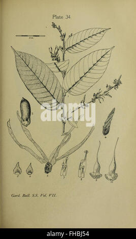 Histoire naturelle des perroquets, Missouri Botanical Garden, Peter H ...