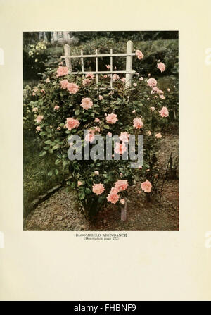 A practical guide to growing roses in home gardens, featuring a variety ...