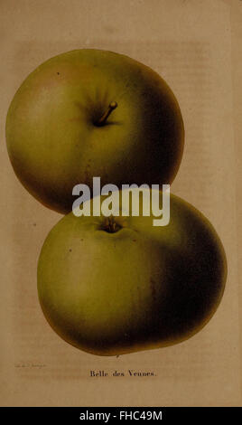 A horticultural study focusing on Belgian plant species, illustrated ...