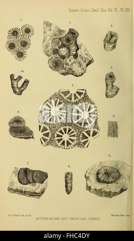 A geological journal documenting the latest findings and research in ...