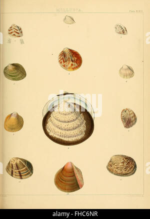 'The Zoology of the Voyage of H.M.S. Samarang' is a scientific record ...