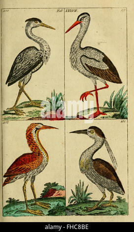 An early natural history work discussing the diverse aspects of nature ...