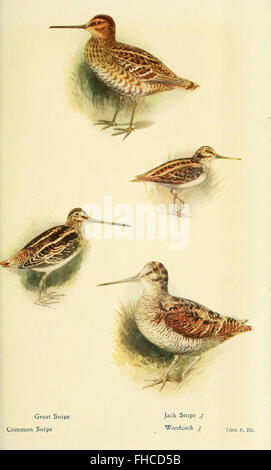 A comprehensive study of British bird species and their habitats across ...