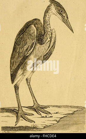 A foundational work in zoology from 1776, presenting early studies and ...