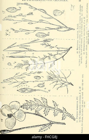 This catalogue provides a comprehensive list of both indigenous and ...
