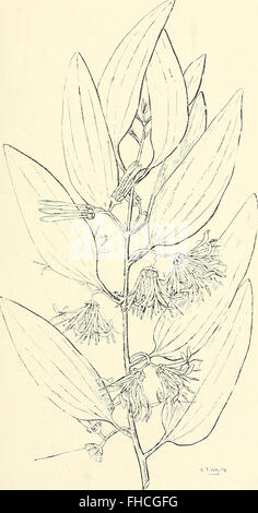 This catalogue lists the indigenous and naturalized plant species of ...