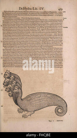 A seminal zoological work by Conrad Gesner, focusing on the history of ...