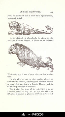 A collection of fascinating zoological creatures and animals from ...