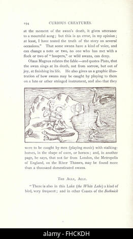 'Curious Creatures in Zoology' explores fascinating and unusual animal ...