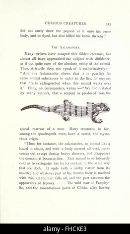 Curious creatures in zoology, University of California Libraries Stock ...