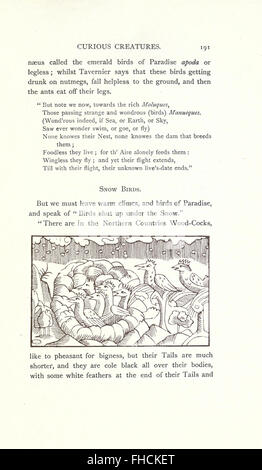 An exploration of unusual and fascinating creatures in the field of ...