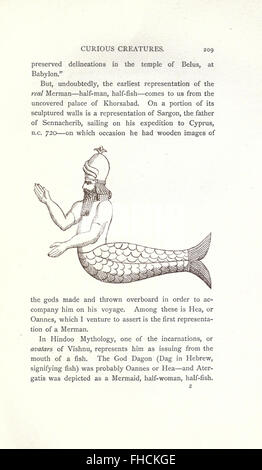 Curious creatures in zoology, a fascinating exploration of unusual ...