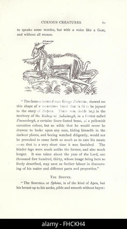 A fascinating exploration of strange and unusual creatures in zoology ...