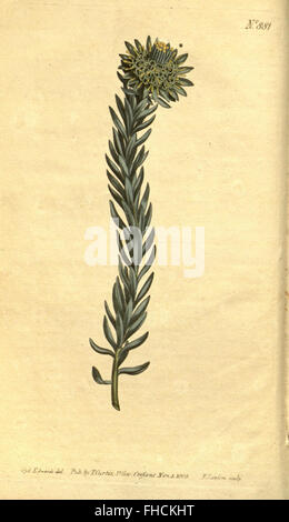 Curtis's botanical magazine, Botany, Missouri Botanical Garden, Peter H ...
