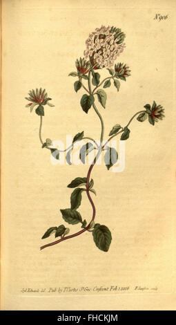 *Curtis's Botanical Magazine* is a renowned botanical journal featuring ...